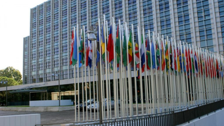 Sfida tra Europa e Cina per la guida della Fao - La Voce d'Italia