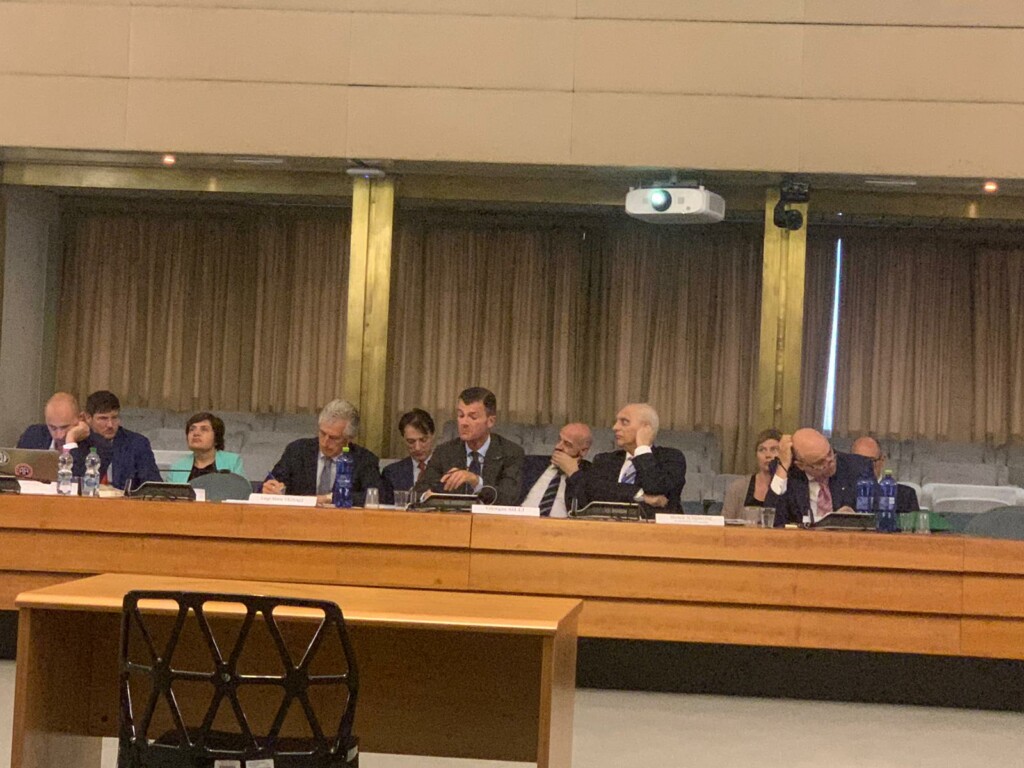 Il Cgie riparte, Silli: “Consolidare i legami con gli emigrati” - La ...